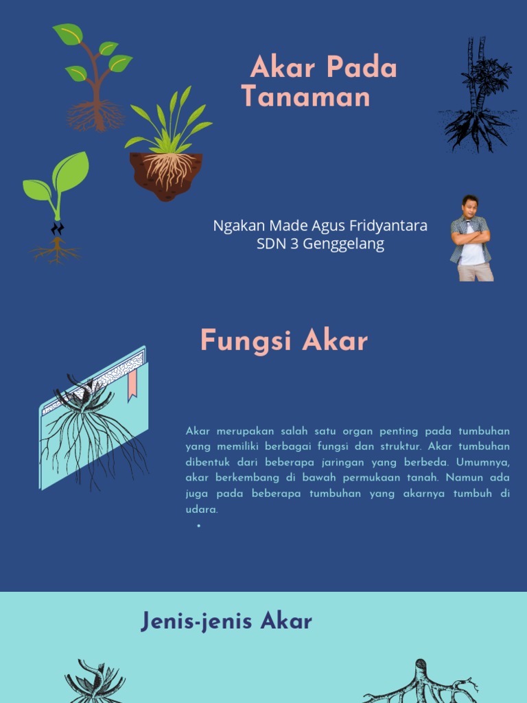 Jenis-Jenis Akar | PDF