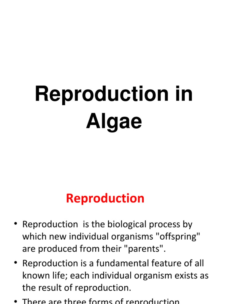 Reproduction in Algae | PDF | Sexual Reproduction | Biological Interactions