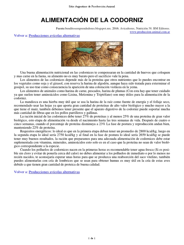 Alimentacion Codorniz | PDF | Proteínas | Alimentos