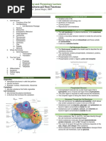 Cell Structures and Their Functions | PDF | Cell Membrane | Cell (Biology)