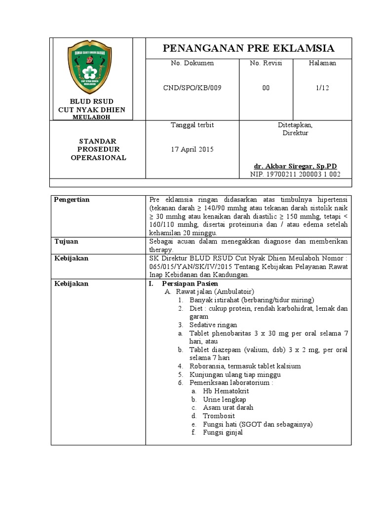09 Penanganan Pre Eklamsia | PDF