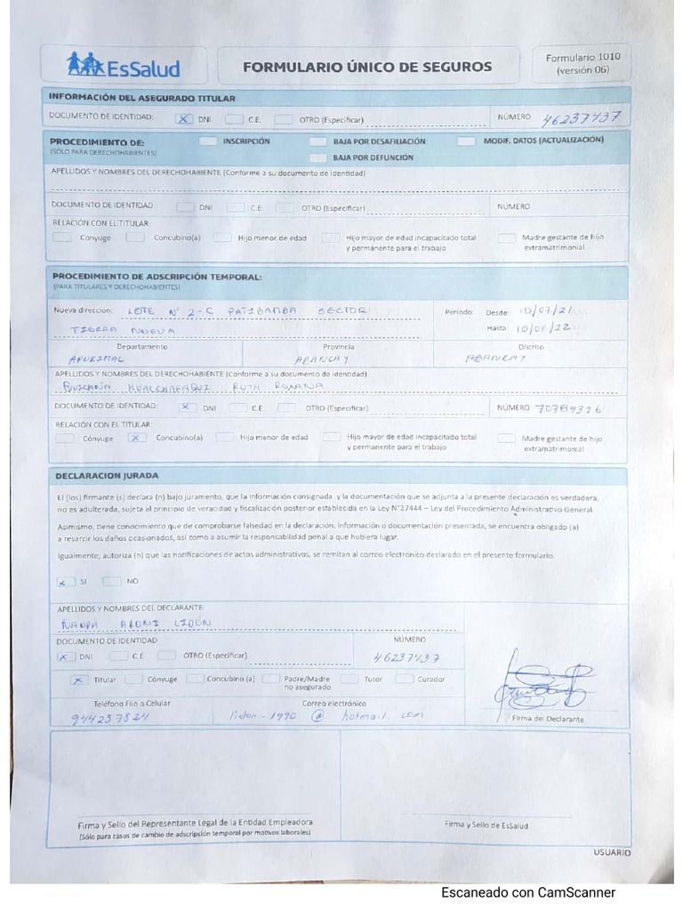 Formulario Único de Seguro 1010 Versión 6 | PDF