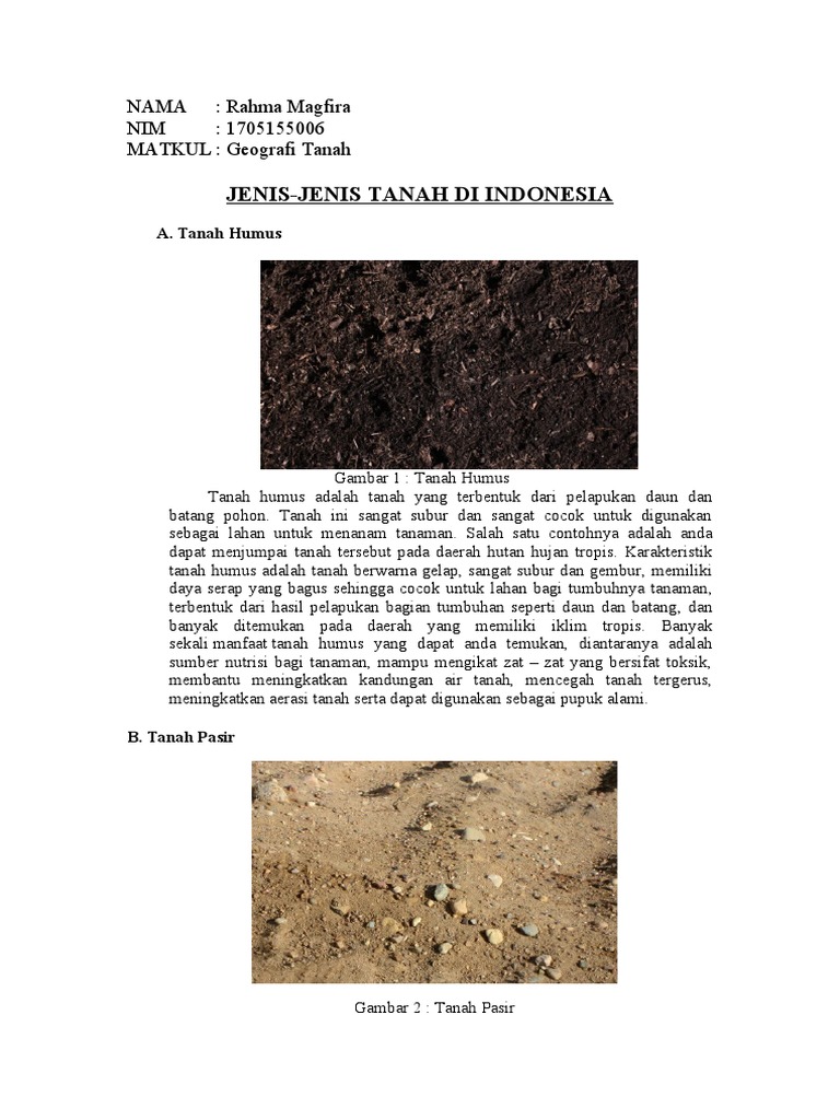 Jenis-Jenis Tanah di Indonesia | PDF | Sains & Matematika
