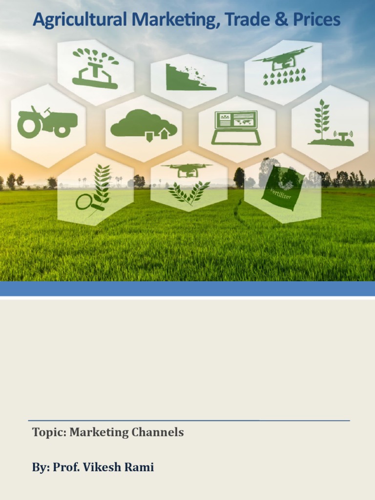 An Overview of Agricultural Marketing Channels and the Role of Various ...