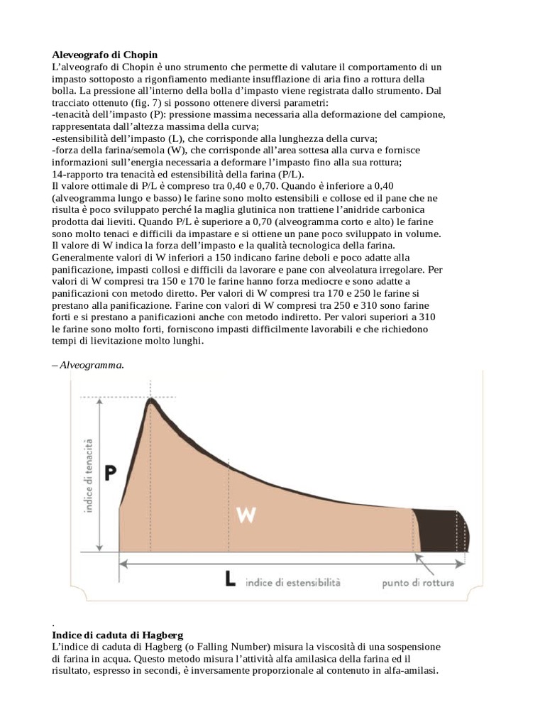 Aleveografo Di Chopin | PDF