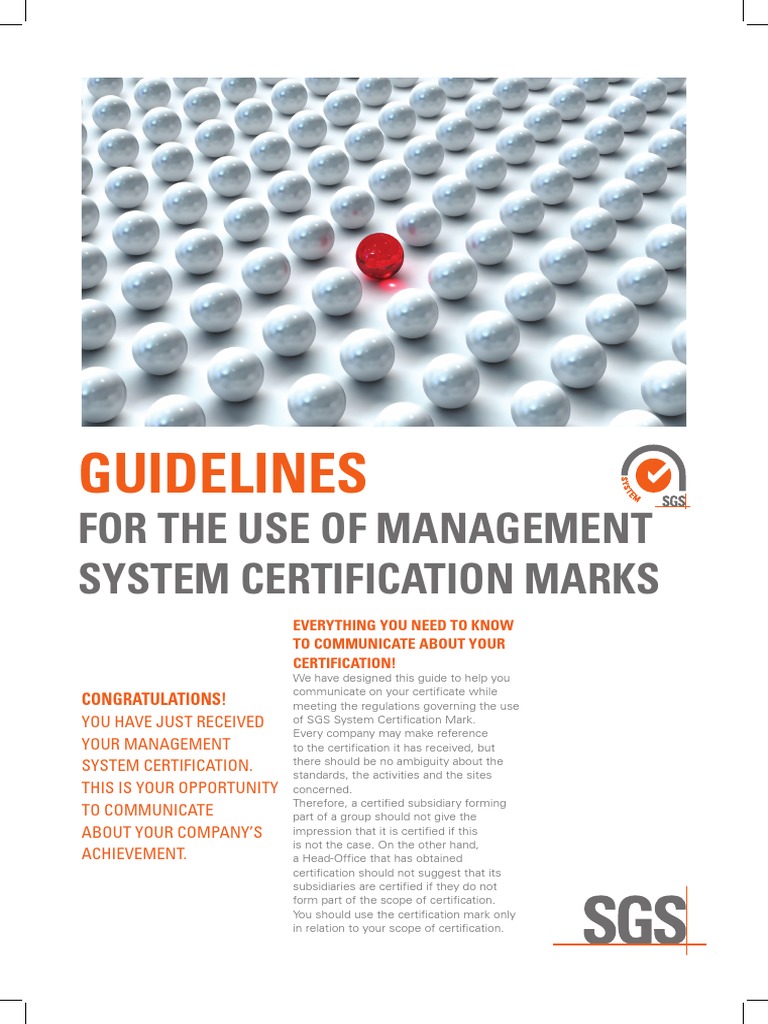 SGS Guide-En Print | PDF | Business