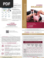 Formato de Ahorro Solidario | PDF