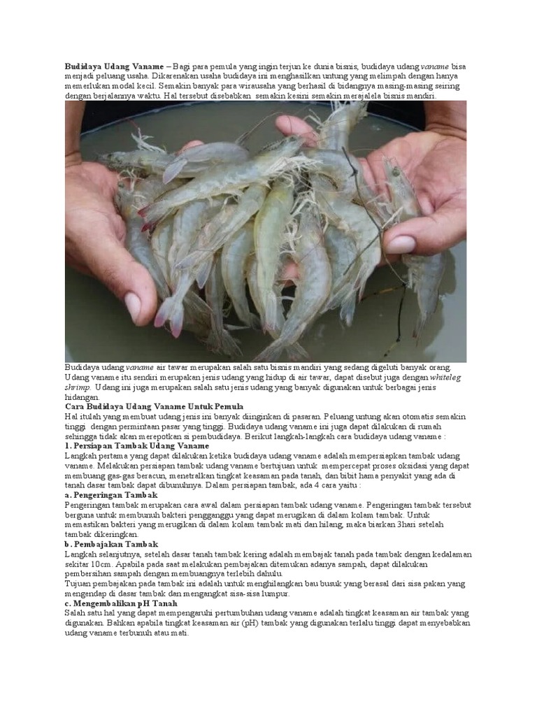 Budidaya Udang Vename | PDF