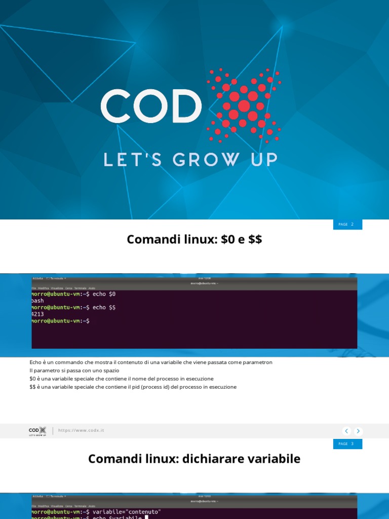 Comandi Linux | PDF