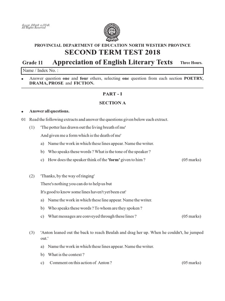 Grade 11 English Literature Exam Guide | PDF | General Fiction