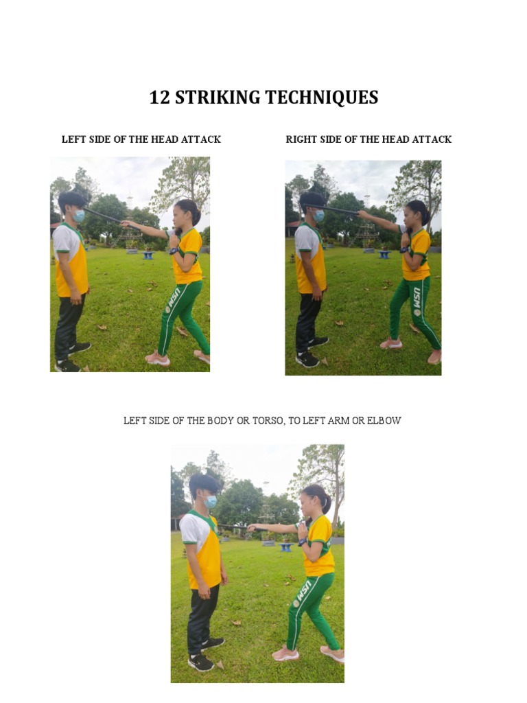 12 Striking Techniques: Left Side of The Head Attack Right Side of The ...
