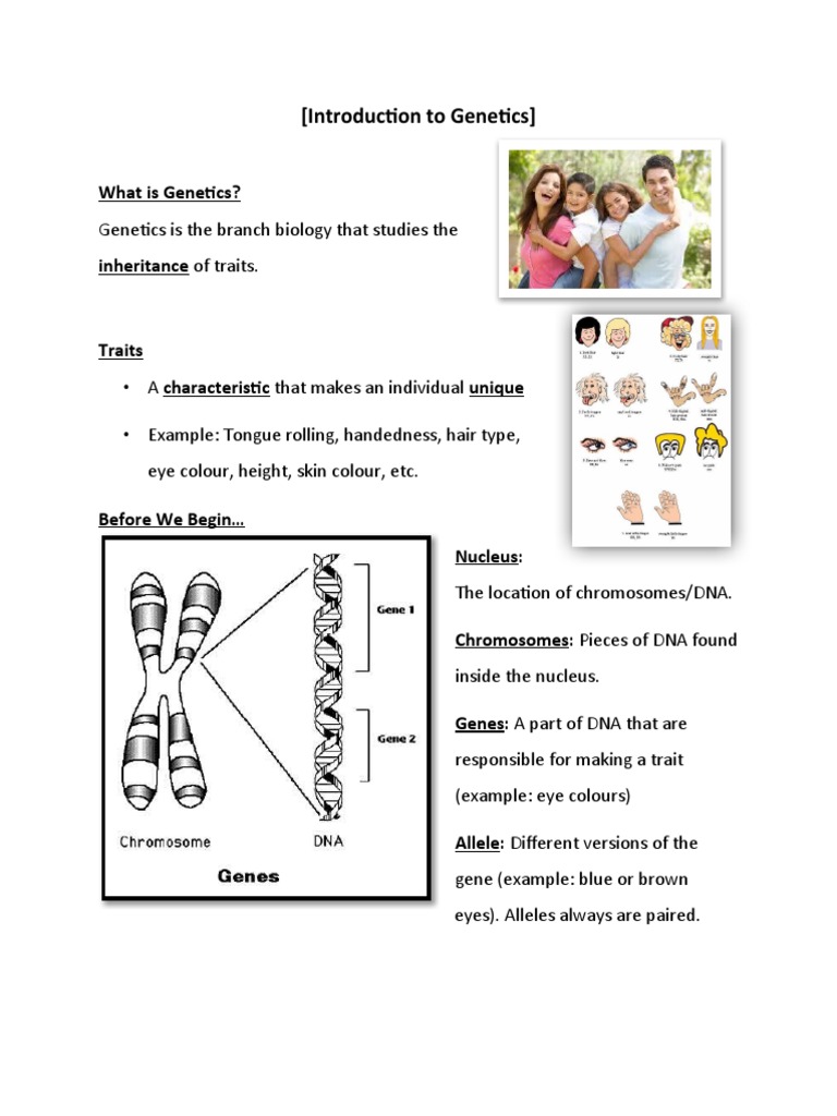 Lesson 1 - 1A - Introduction To Genetics - Notes - Key | PDF | Heredity ...