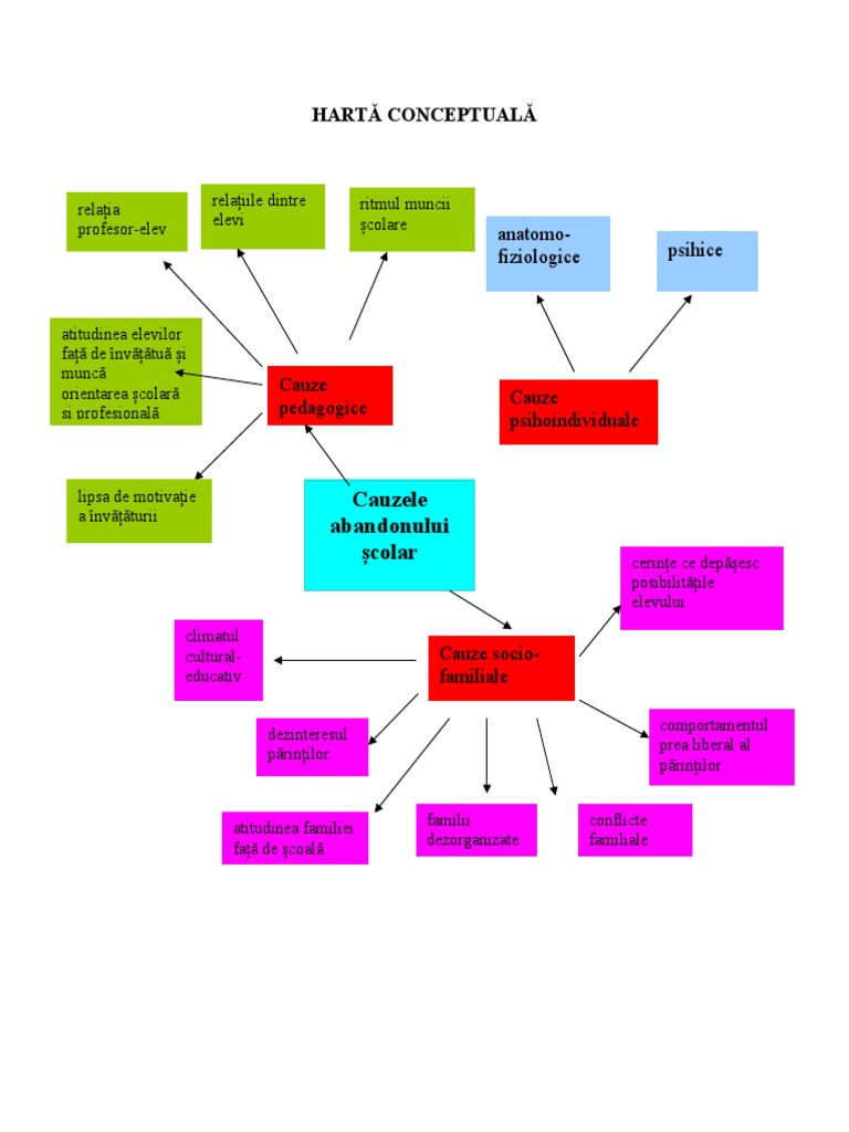 Abandon Scolar - Harta Conceptuala | PDF