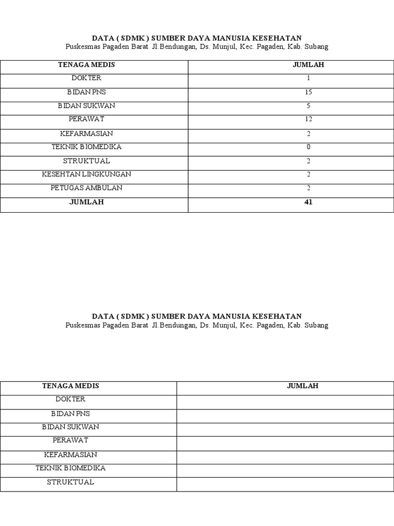 Data Puskesmas | PDF