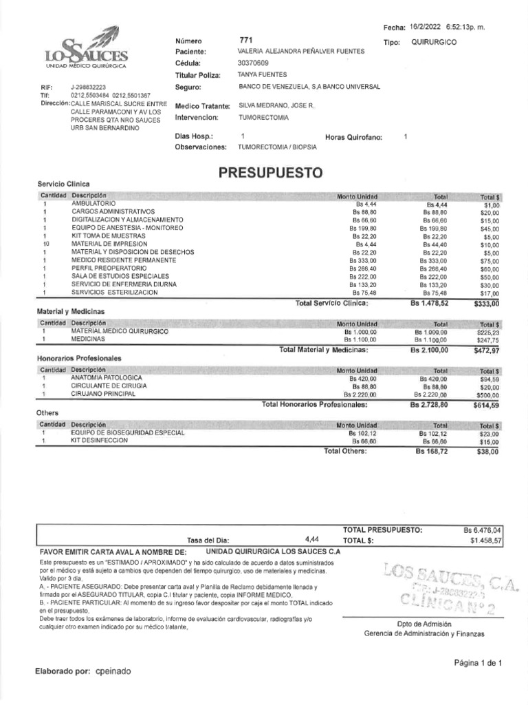 Presupuesto 771 | PDF