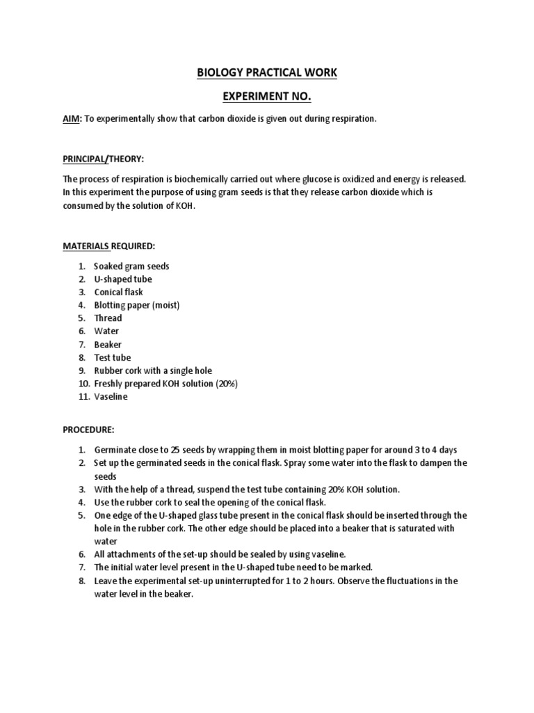 CL 10 Bio Practical | PDF | Reproduction | Yeast