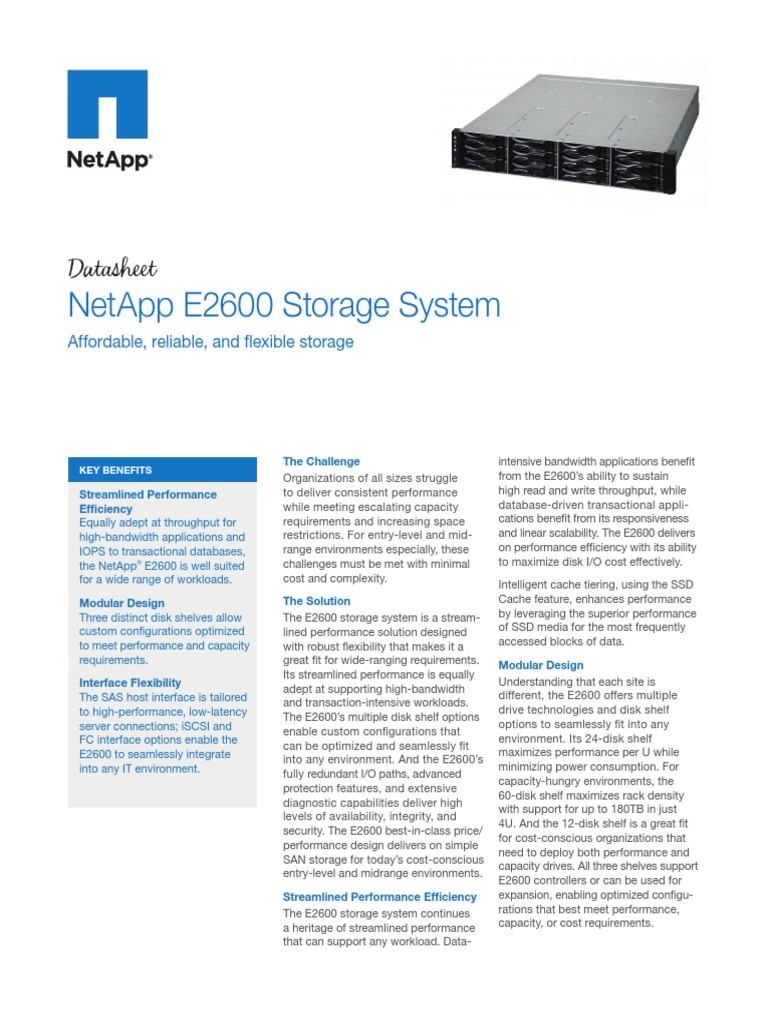 Ds Netapp E2600 Storage System | PDF | Solid State Drive | Hard Disk Drive