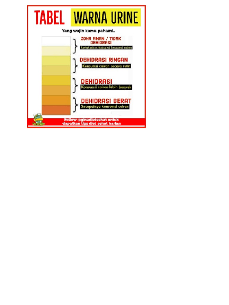 Tabel Warna Urine | PDF