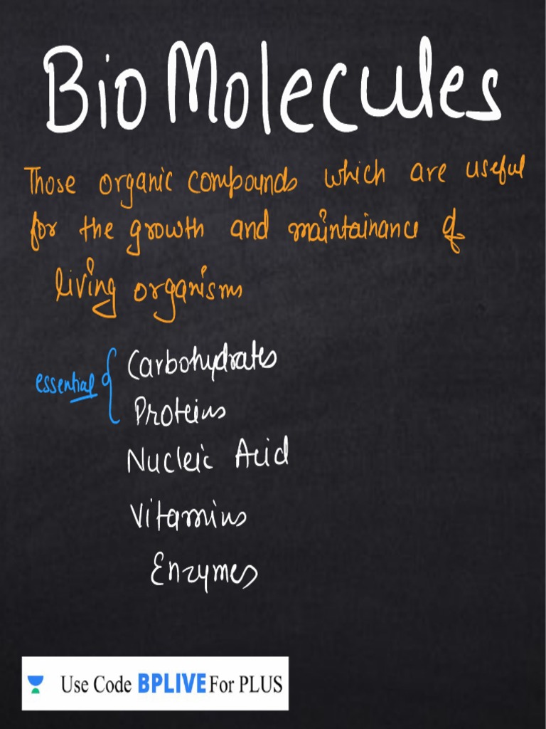 Biomolecules: Carbohydrates and Hydrolysis | PDF | Carbohydrates ...