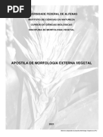 Raízes Adventícias: Exemplos e Funções | PDF | Raiz | Morfologia vegetal