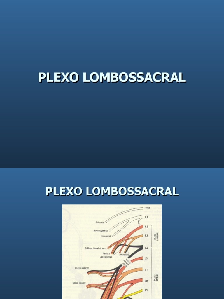 Plexo Lombossacral | PDF | Pé | Anatomia dos Membros Inferiores