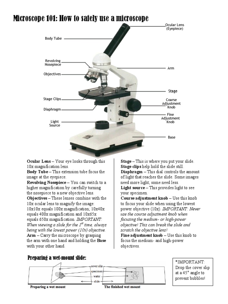 Microscope 101: How To Safely Use A Microscope: Preparing A Wet-Mount ...