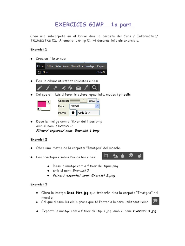 Exercicis Gimp | PDF