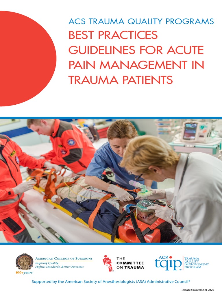 Acute Pain Guidelines | PDF | Pain Management | Pain