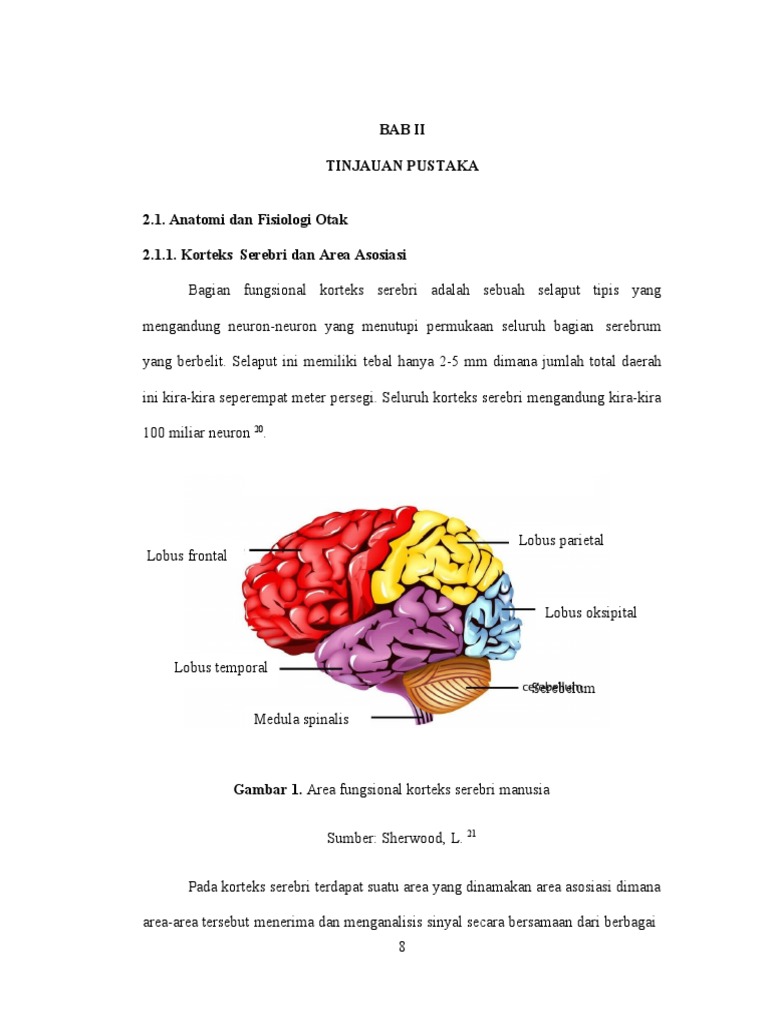 Bab Ii Tinjauan Pustaka 2.1. Anatomi Dan Fisiologi Otak 2.1.1. Korteks ...