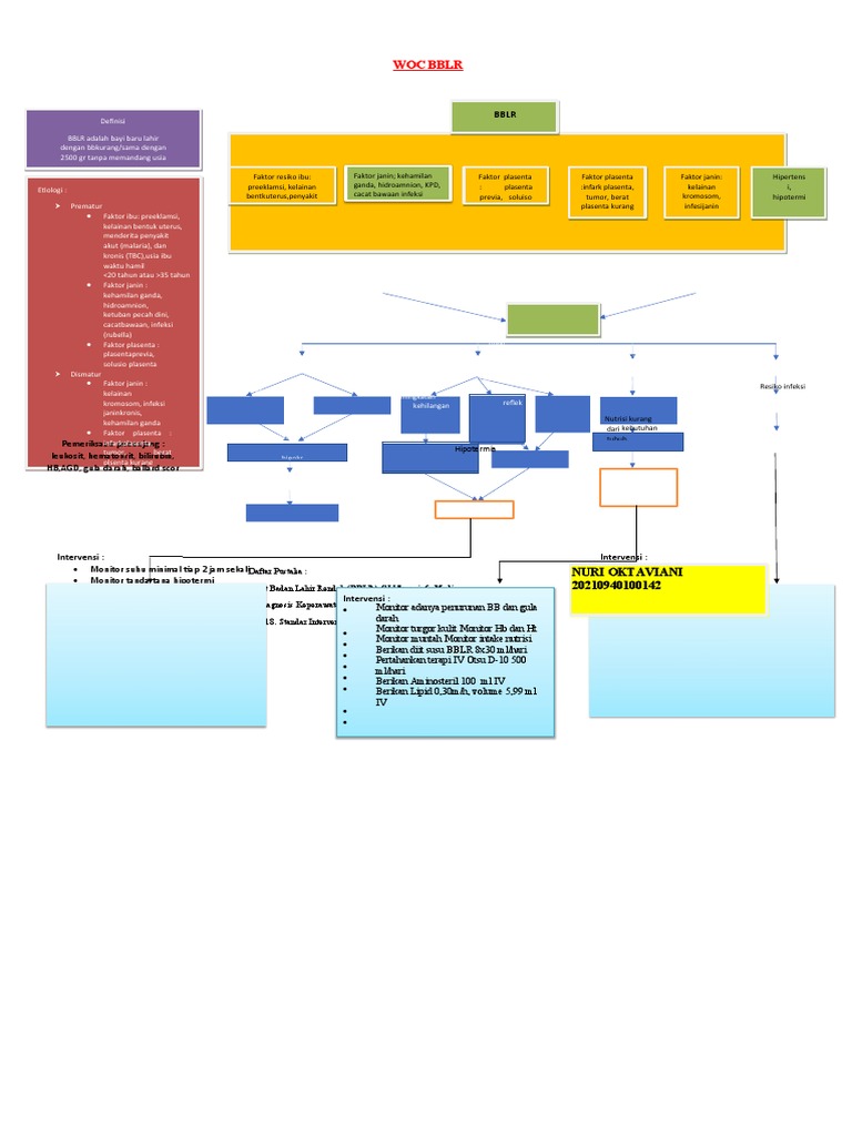 Woc Perina BBLR | PDF