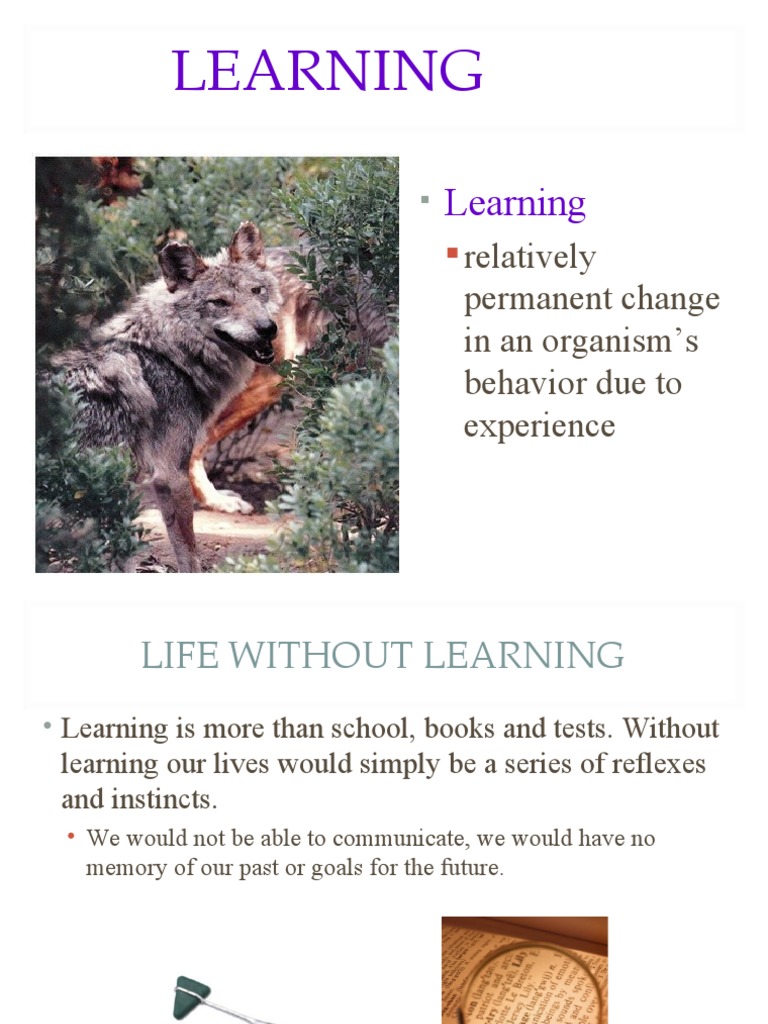 AP Psychology Learning PPT-1 | PDF | Classical Conditioning | Reinforcement