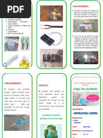 Trifolio de Experimento El Pez Globo | PDF