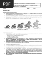 Sopa de Letras Evolución | PDF