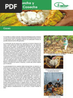 Suelos Fluvisoles: Importancia y Uso | PDF | Suelo | Riego