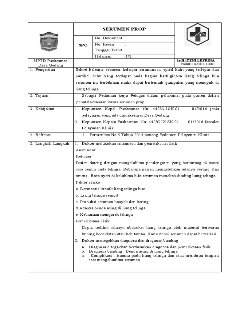 Pedoman Penanganan Serumen Prop di Puskesmas | PDF | Kesehatan Holistik