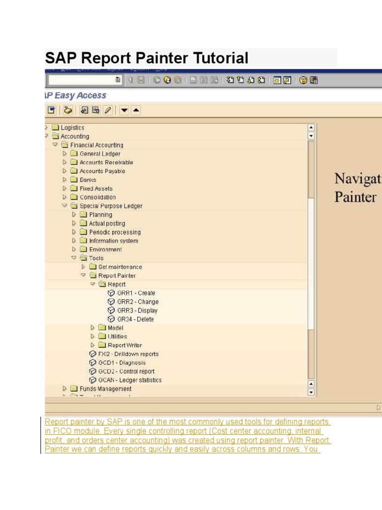 SAP Report Painter Tutorial | PDF