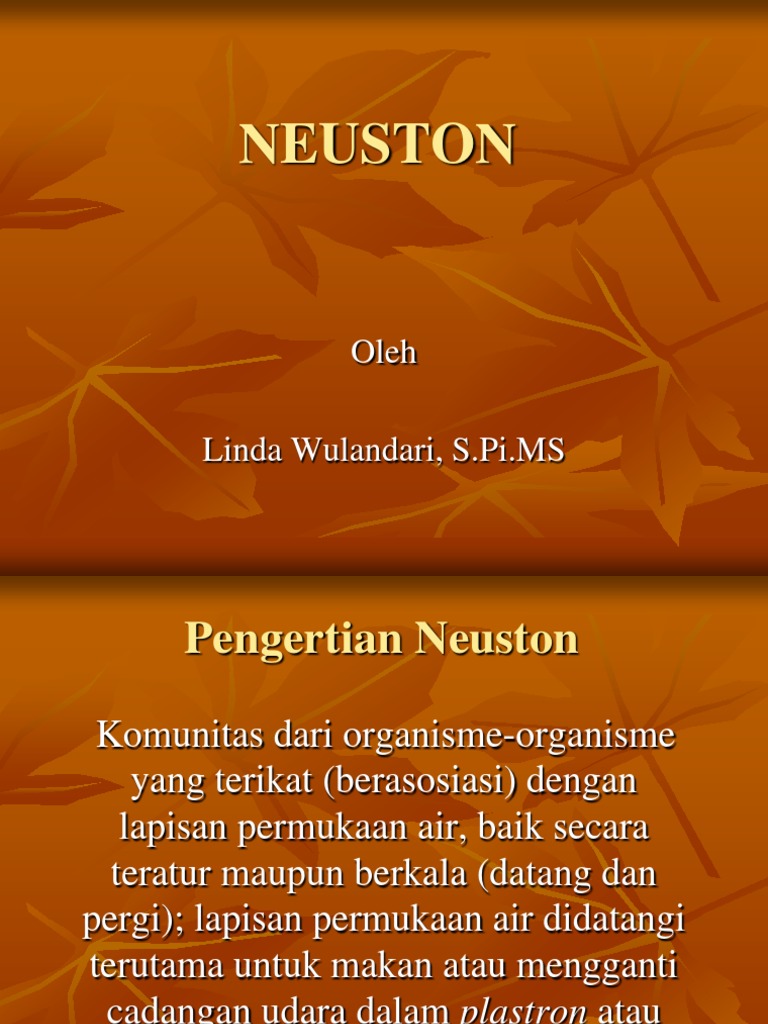 NEUSTON | PDF | Kajian Bahasa Asing | Metode & Bahan Ajar