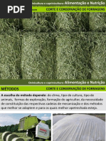 Processo de Produção de Feno | PDF | Feno | Agricultura