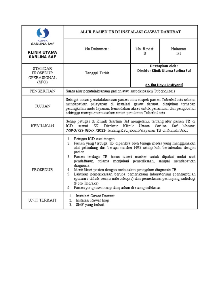 Alur Pelayanan Pasen TB Di IGD | PDF