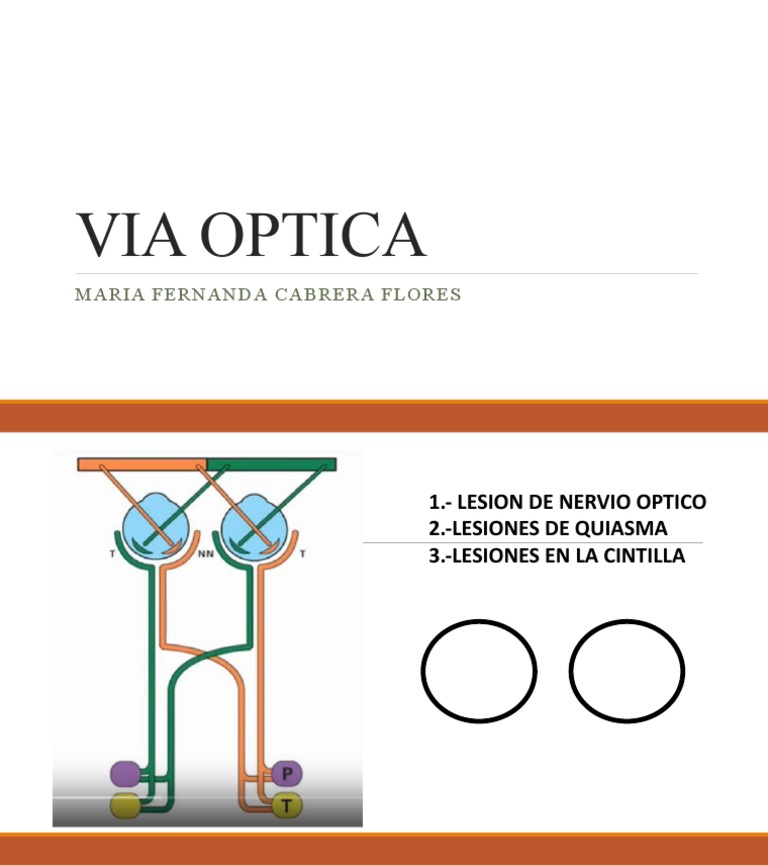 Via Optica | PDF