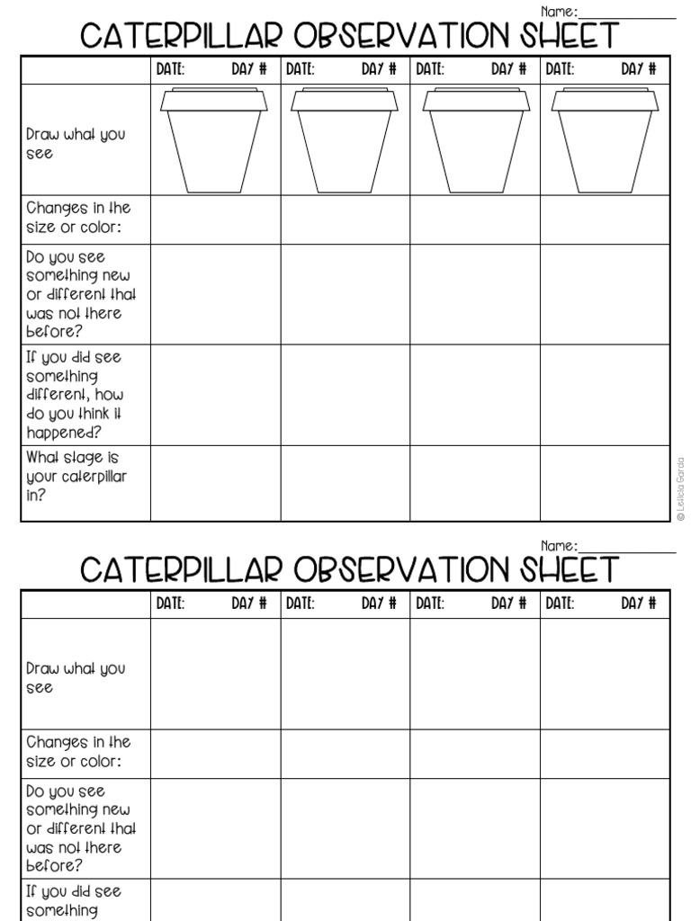 Caterpillar Observation Sheet: Date: Day # Date: Day # Date: Day # Date ...
