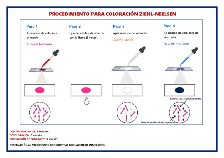 Coloración Ziehl-Neelsen - BK | PDF