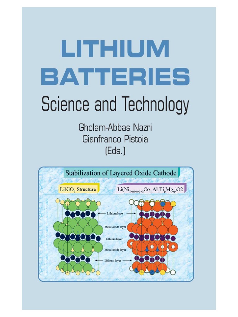 BOOK Lithium Batteries Science and Technology | PDF | Computing