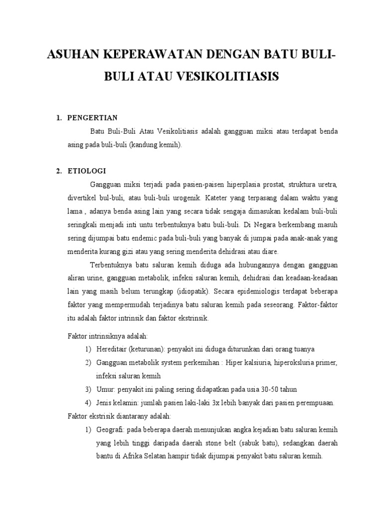Asuhan Keperawatan Dengan Batu Buli | PDF