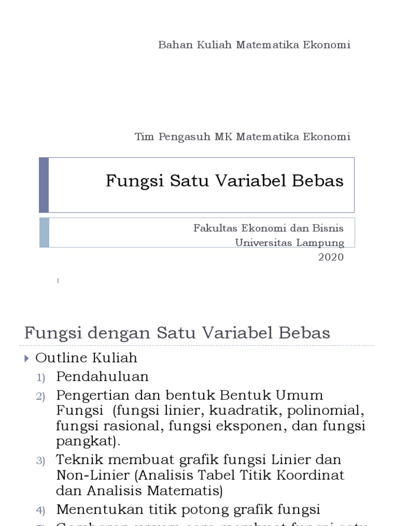 Fungsi Satu Variabel dalam Ekonomi | PDF