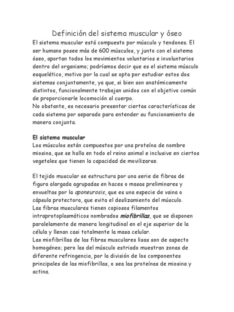 Sistema Oseo y Muscular | PDF | Músculo esquelético | Hueso