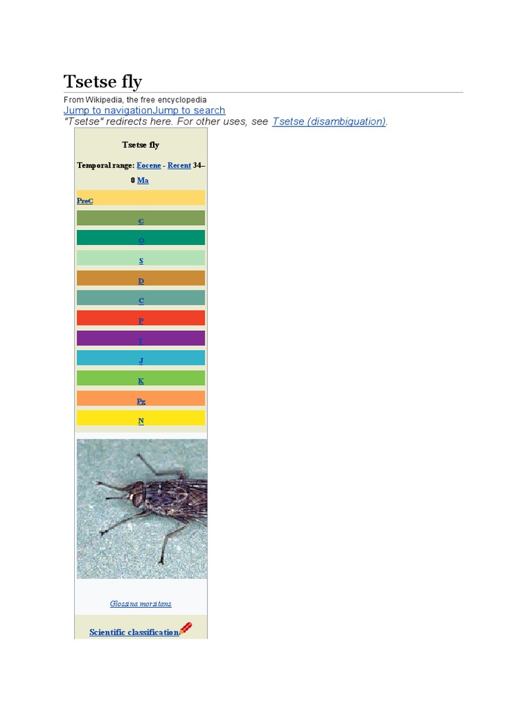 Tsetse Fly: Jump To Navigation Jump To Search | PDF | Science & Mathematics