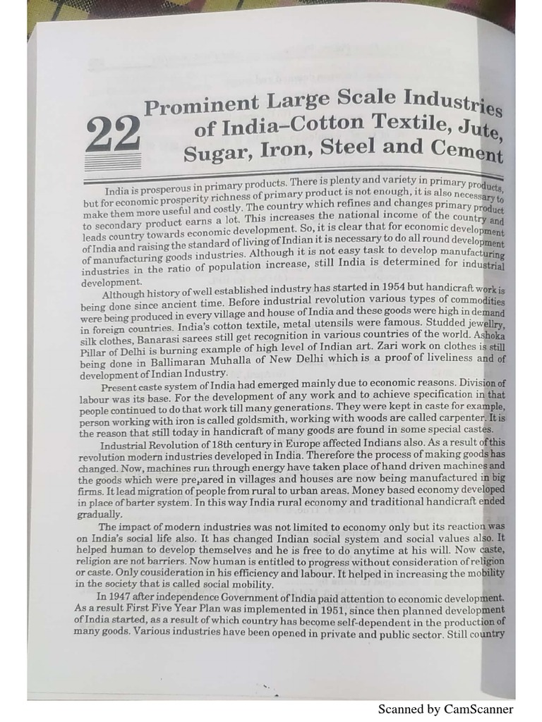 Large Scale Industries | PDF