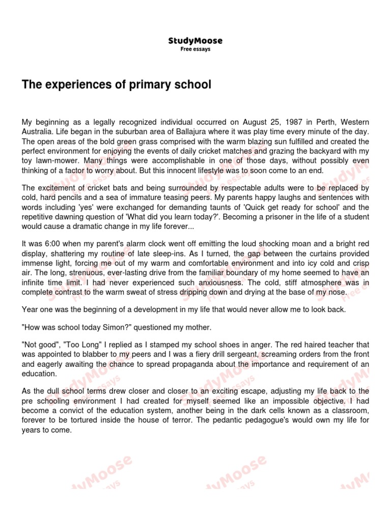 The Experiences Of Primary School Pdf Self Improvement