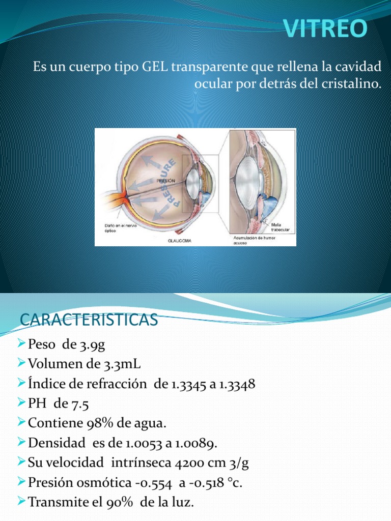 Trabajo Oficial de VITREO | PDF | Ojo humano | Química